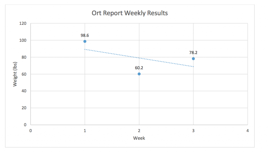 Ort Report - Sustainable Community